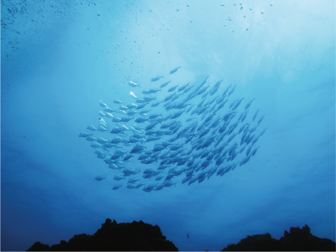 Less sound makes swimming sound | Nature Physics