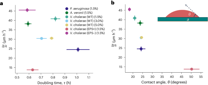 The biophysical basis of bacterial colony growth | Nature Physics
