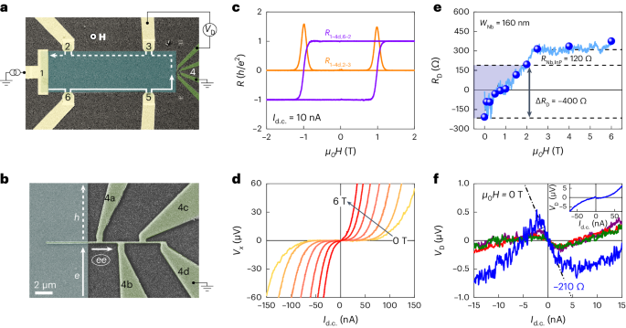 Induced Superconducting Correlations In A Quantum Anomalous Hall