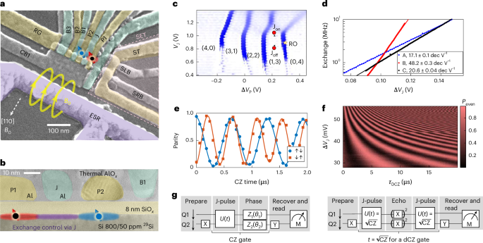Assessment of the errors of high-fidelity two-qubit gates in silicon ...