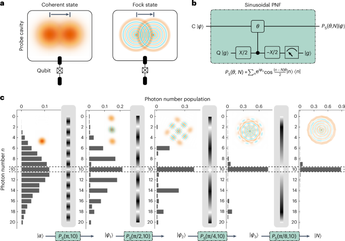 Quantum-enhanced metrology with large Fock states | Nature Physics