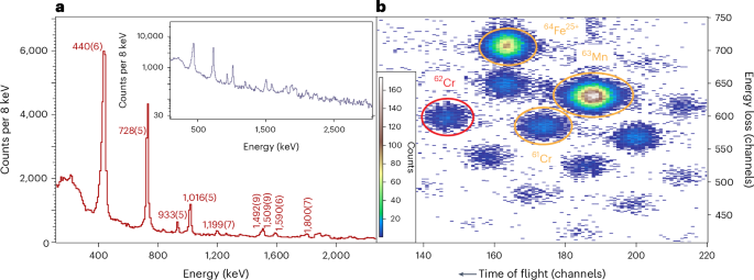 In-beam spectroscopy reveals competing nuclear shapes in the rare ...