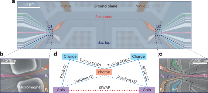 Cavity-mediated iSWAP oscillations between distant spins | Nature Physics