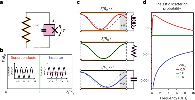 Observation of the Schmid–Bulgadaev dissipative quantum phase ...