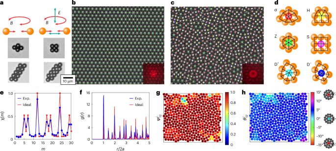 Direct observation of colloidal quasicrystallization | Nature Physics