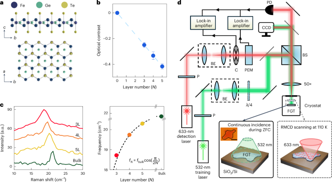 High-efficiency optical training of itinerant two-dimensional magnets ...