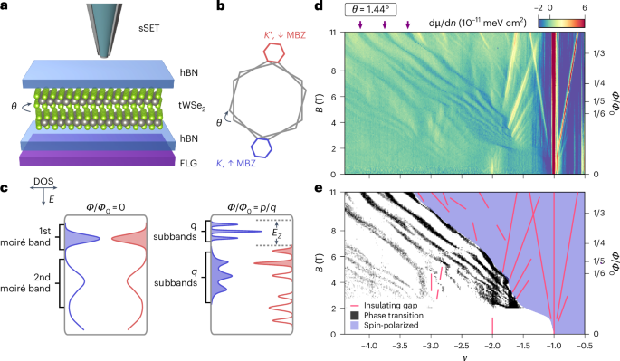 Magnetic Hofstadter cascade in a twisted semiconductor homobilayer ...
