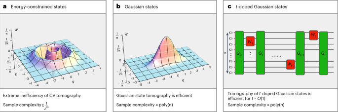 Learning quantum states of continuous-variable systems | Nature Physics