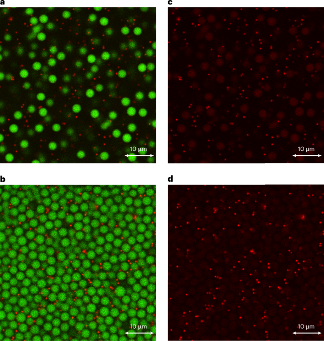 Emergent signatures of the glass transition in colloidal suspensions ...