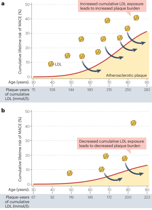 The LDL cumulative exposure hypothesis: evidence and practical ...
