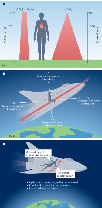 Computational modelling of cardiovascular pathophysiology to risk ...