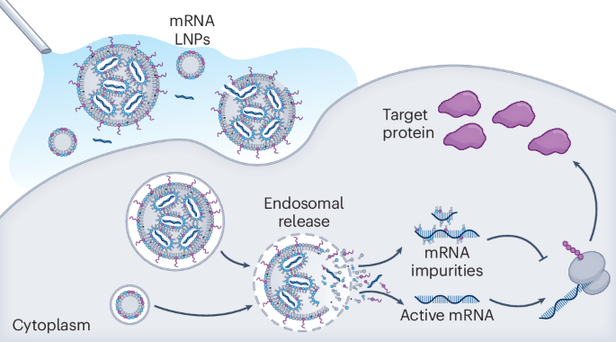 The impact of chemical reactivity on the quality and stability of RNA ...