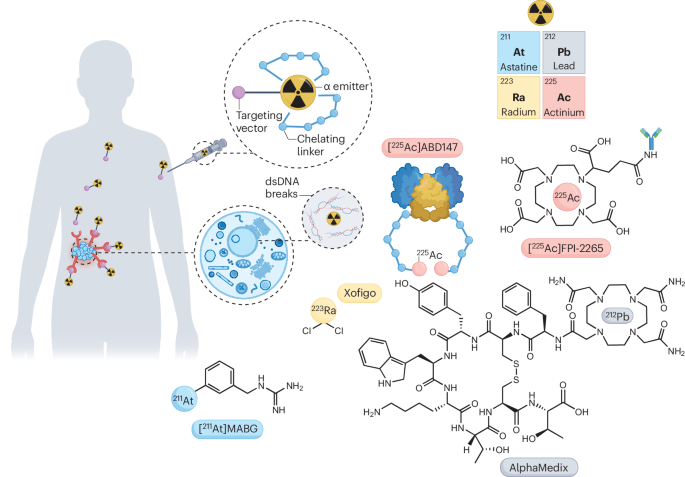 Bringing atoms to bedside with targeted alpha therapy | Nature Reviews ...