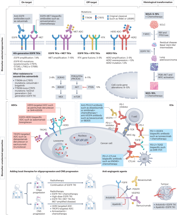 Navigating the landscape of EGFR TKI resistance in EGFR-mutant NSCLC ...