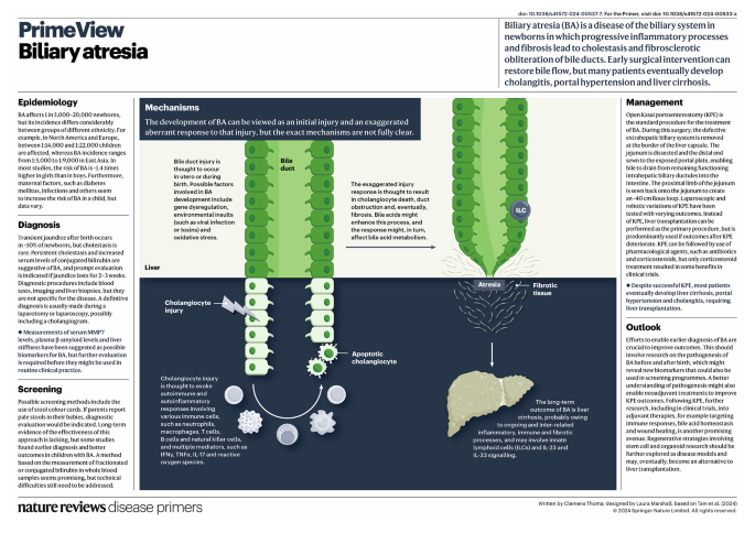 Biliary atresia | Nature Reviews Disease Primers