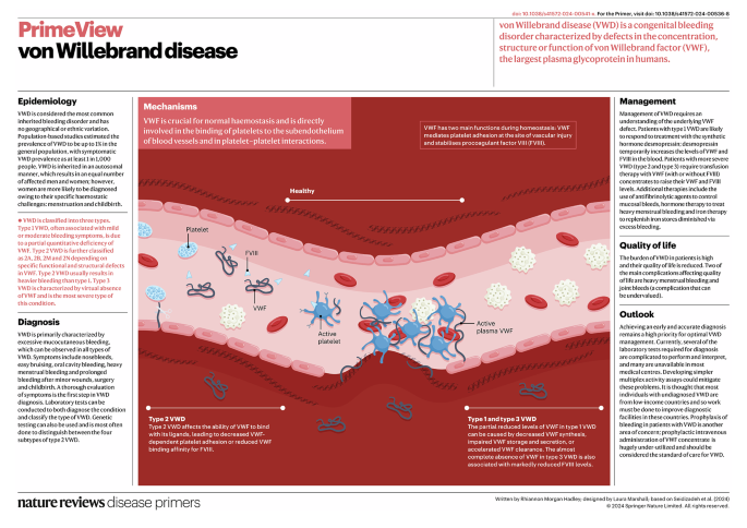 von Willebrand disease | Nature Reviews Disease Primers