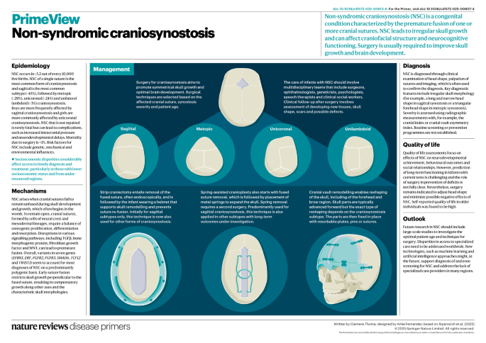 Non-syndromic craniosynostosis | Nature Reviews Disease Primers