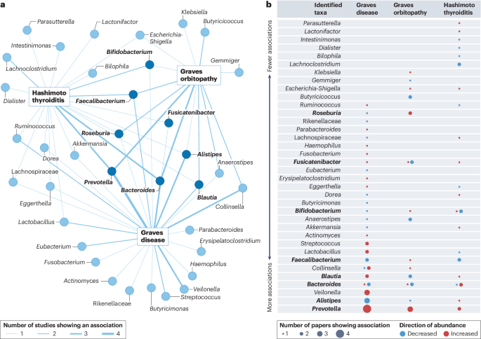 The relationship between the gut microbiota and thyroid disorders ...