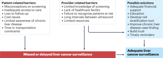 Transforming the landscape of liver cancer detection and care | Nature ...