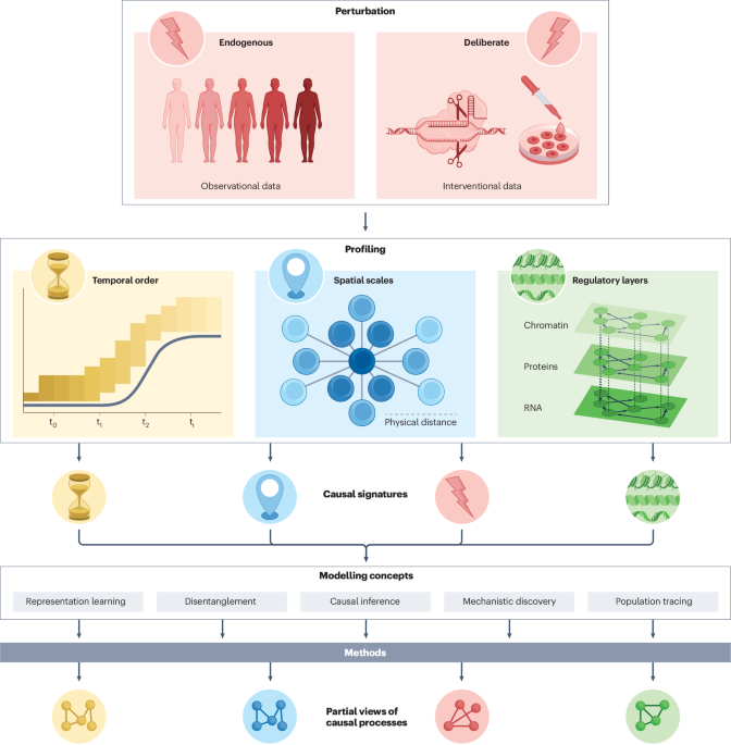 Interpretation, extrapolation and perturbation of single cells | Nature ...