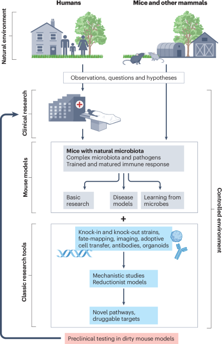 Integrating natural commensals and pathogens into preclinical mouse ...