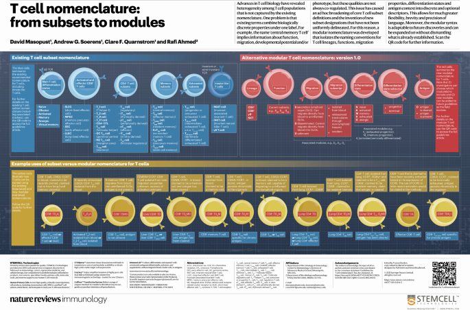 T cell nomenclature: from subsets to modules | Nature Reviews Immunology