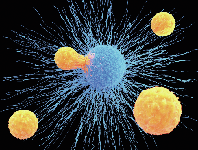 Cluster-derived, tumour-reactive T cells from clinical samples | Nature ...