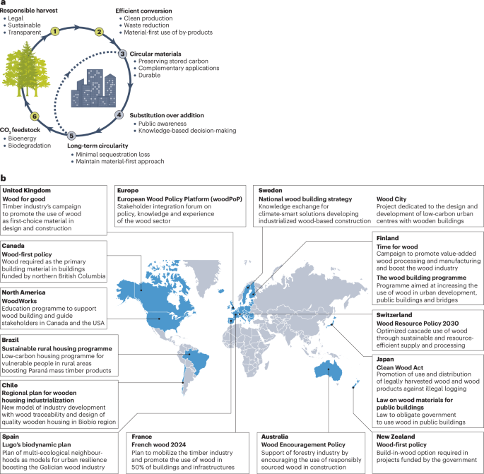 A global policy framework for the circular use of forest biomass as ...