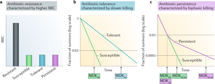 Definitions and guidelines for research on antibiotic persistence ...
