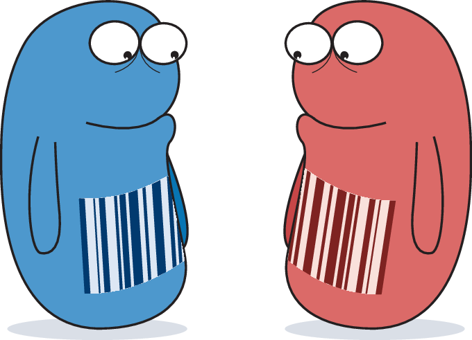 Bacterial barcoding facilitates plant microbiome studies | Nature ...