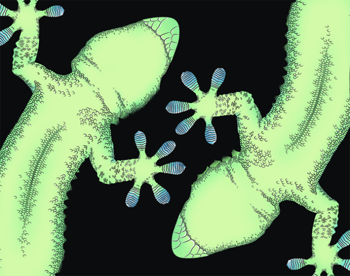 Polarized endoplasmic reticulum–plasma membrane contacts in cell ...
