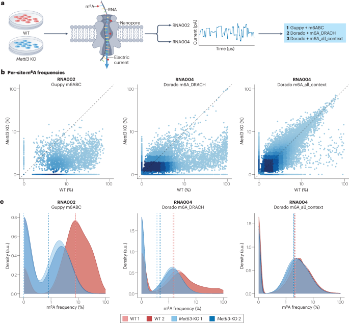 The new era of single-molecule RNA modification detection through nanopore base-calling models ...