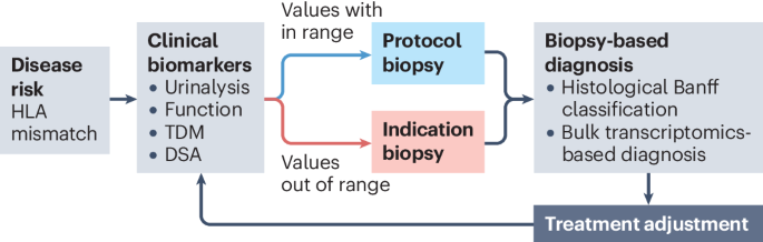 Application of spatial-omics to the classification of kidney biopsy ...