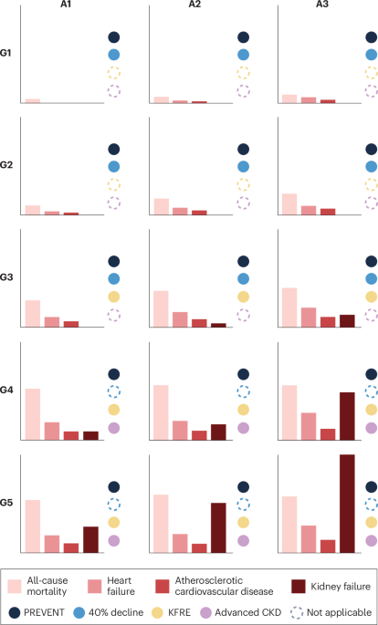 Risk-directed management of chronic kidney disease | Nature Reviews ...