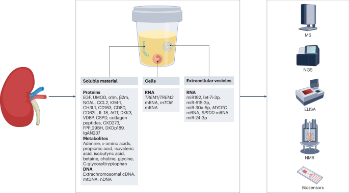 Urine as a source of biomarkers and biological knowledge in chronic ...