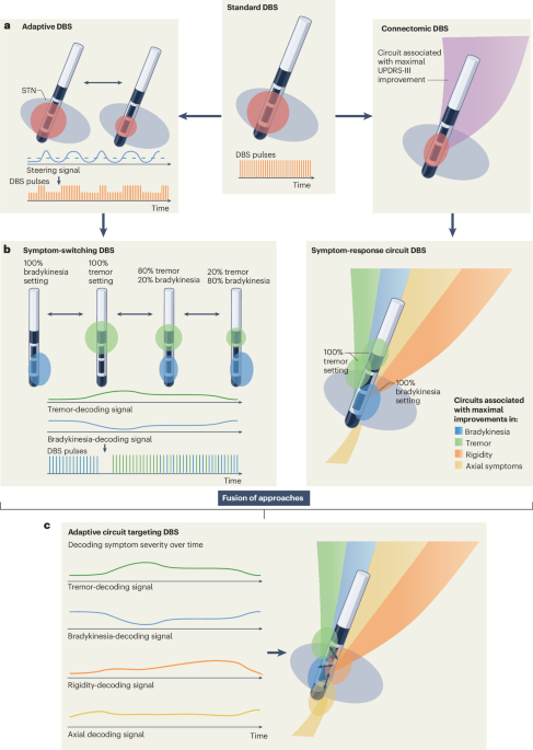 From adaptive deep brain stimulation to adaptive circuit targeting ...
