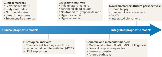 Prognostic and predictive biomarkers for immunotherapy in advanced ...