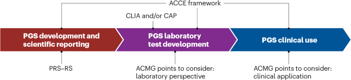 Clinical translation of polygenic scores for prostate cancer screening ...