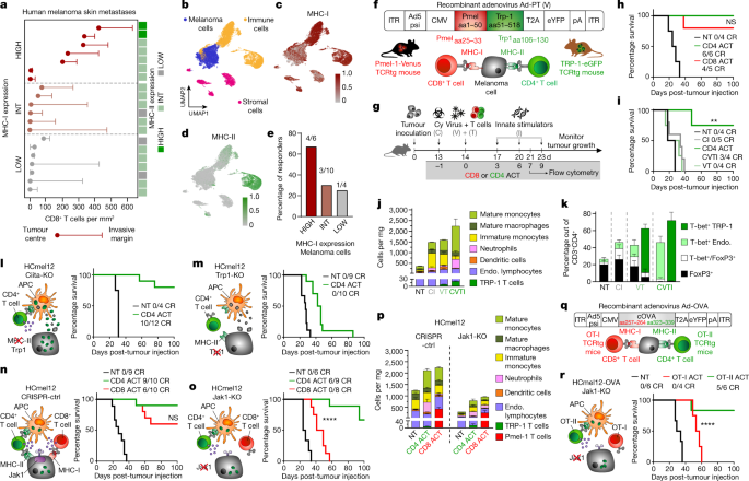 CD4+ T cell-induced inflammatory cell death controls immune-evasive ...