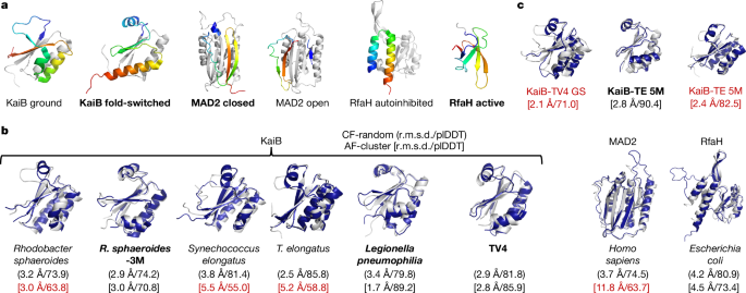 Sequence clustering confounds AlphaFold2 | Nature