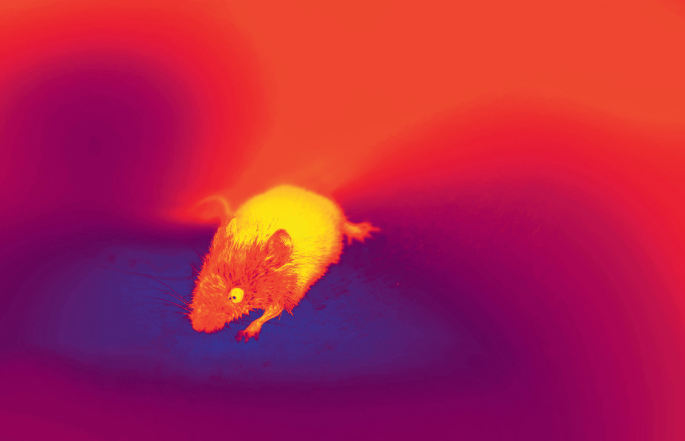 Biotechs take multiplexing into animal models to accelerate drug ...