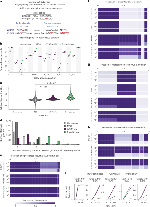 Model-directed generation of artificial CRISPR–Cas13a guide RNA ...