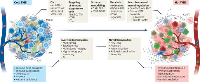 Turn cold tumors hot by reprogramming the tumor microenvironment ...