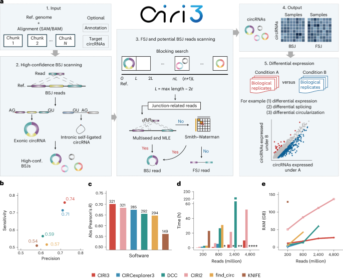 Detecting and quantifying circular RNAs in terabyte-scale RNA-seq datasets with CIRI3 | Nature ...