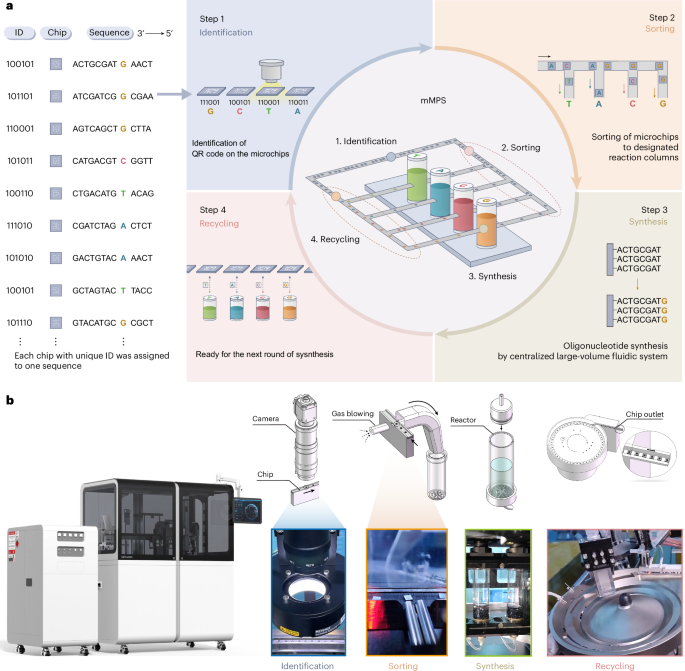 Scaling DNA synthesis with a microchip-based massively parallel ...