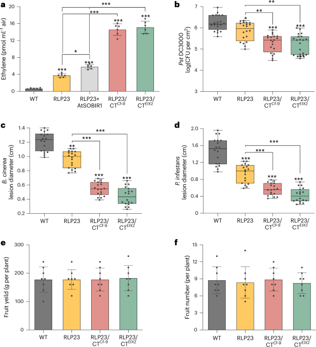 Engineered pattern recognition receptors enhance broad-spectrum plant resistance | Nature ...