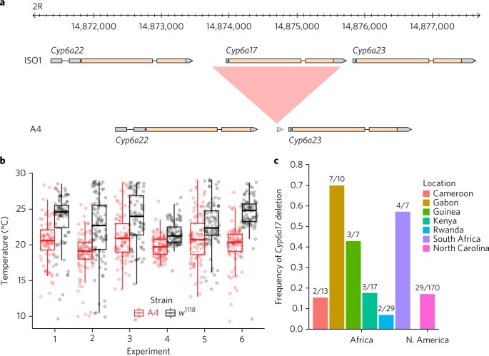 Hidden genetic variation shapes the structure of functional elements in ...