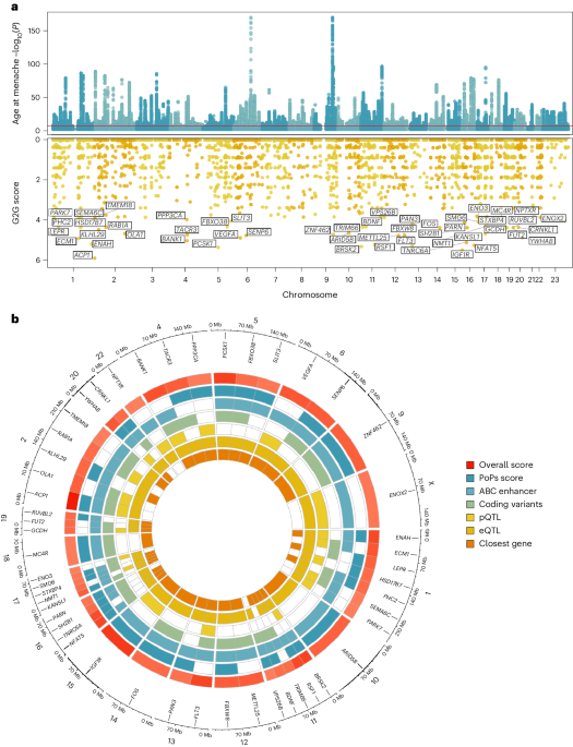 Understanding the genetic complexity of puberty timing across the ...