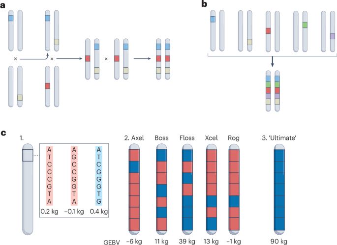 Potential approaches to create ultimate genotypes in crops and ...