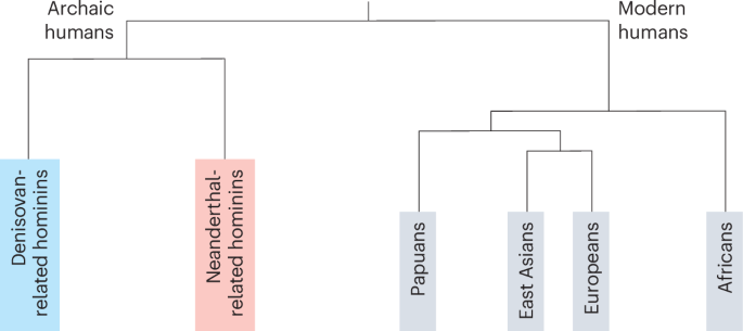 A history of multiple Denisovan introgression events in modern humans ...